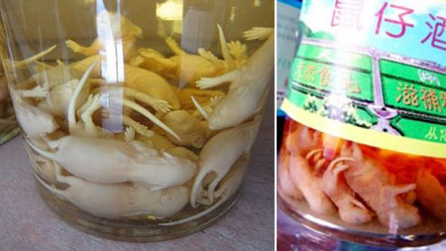 Turn Baby Mice Whines into Baby Mice Wine - Commonplace Fun Facts