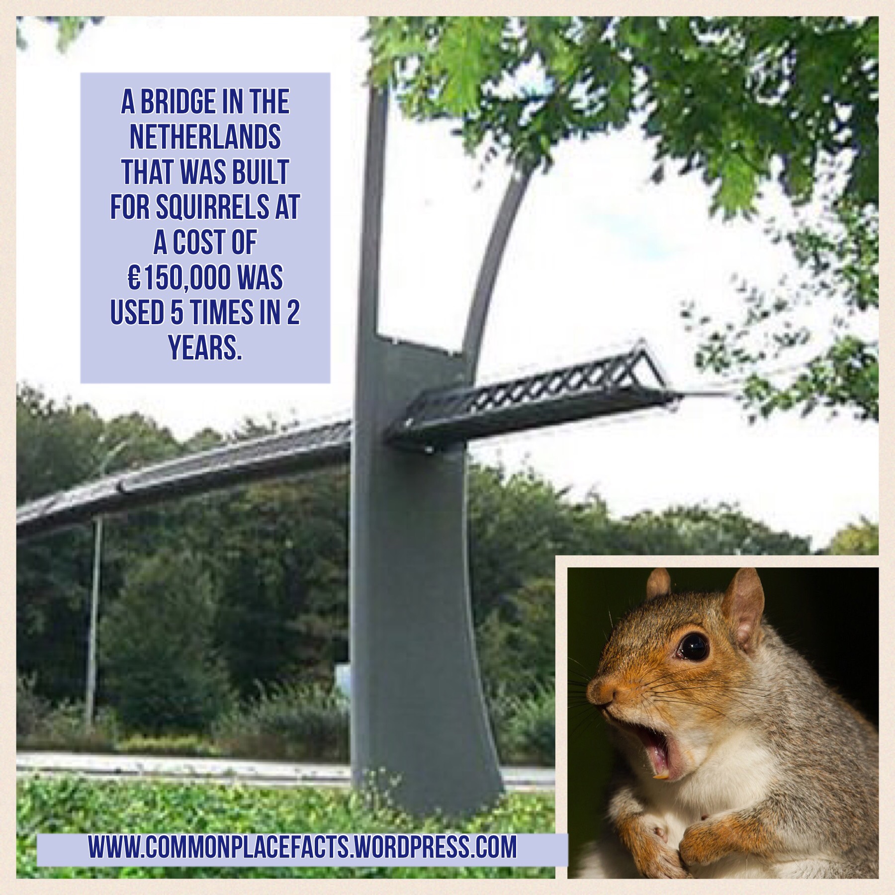 Squirrels Fail to Go All Nutty Over Bridge – Commonplace Fun Facts