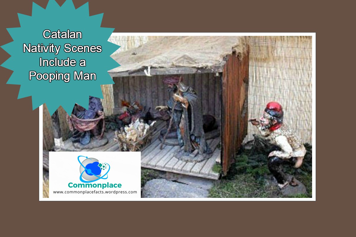 Why is THAT in the Nativity Scene?! Exploring the Peculiar Pooping ...