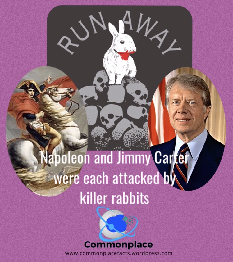 When Rabbits Take On the World’s Most Powerful Men - Commonplace Fun Facts