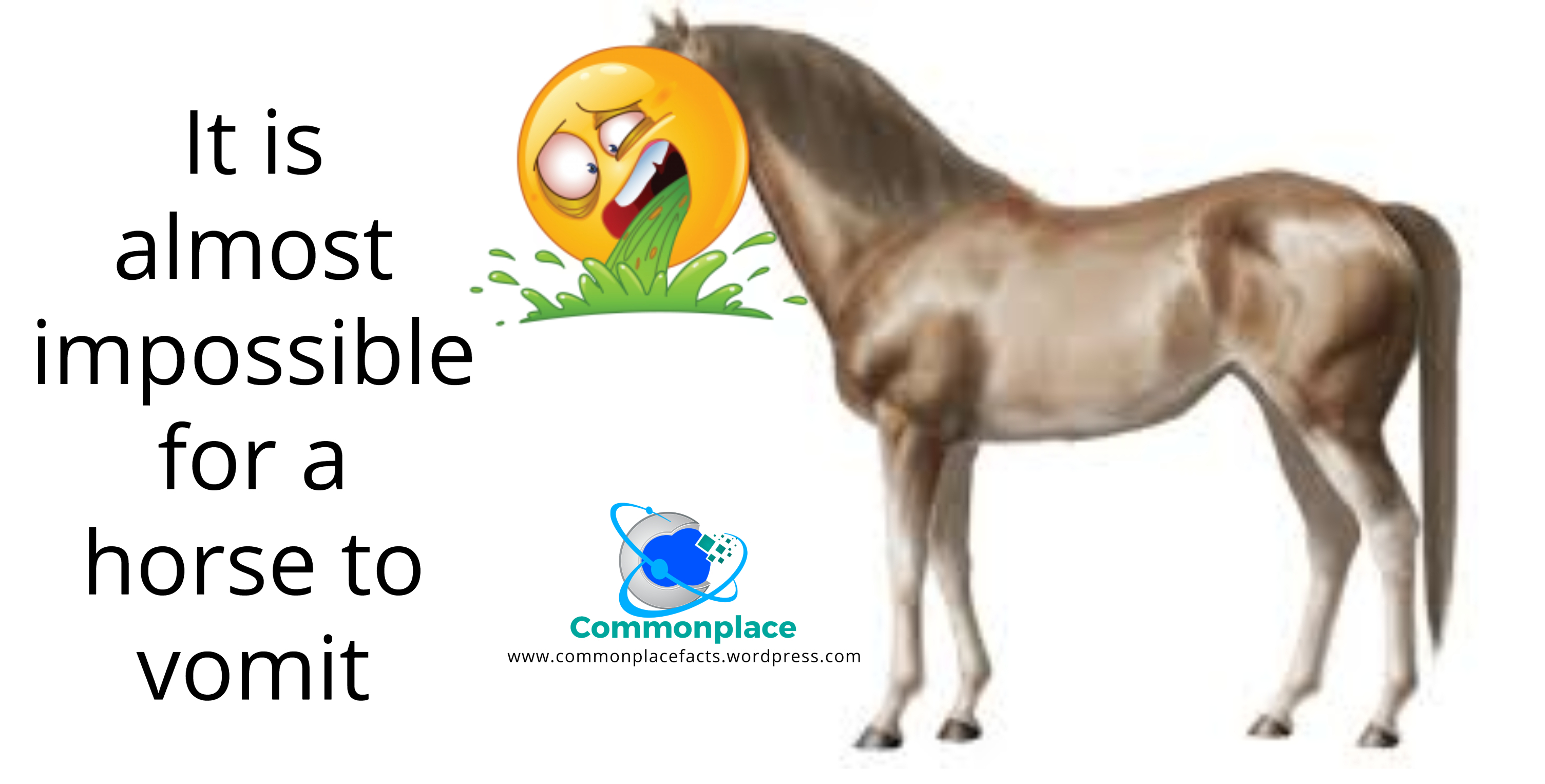 Giddy-up, But Don't Throw Up - Commonplace Fun Facts