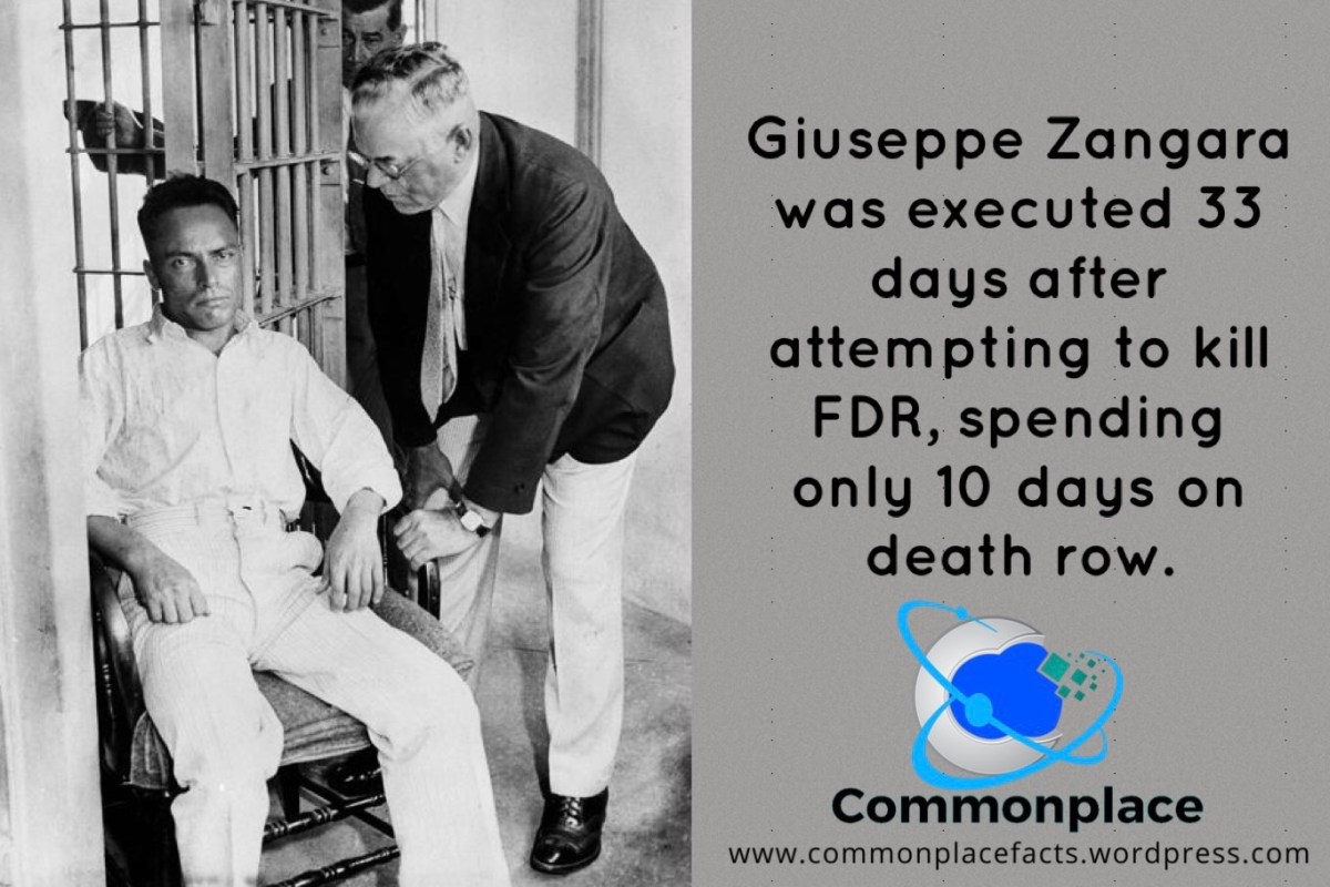 Ten Days on Death Row: The Speedy Execution of Giuseppe Zangara ...