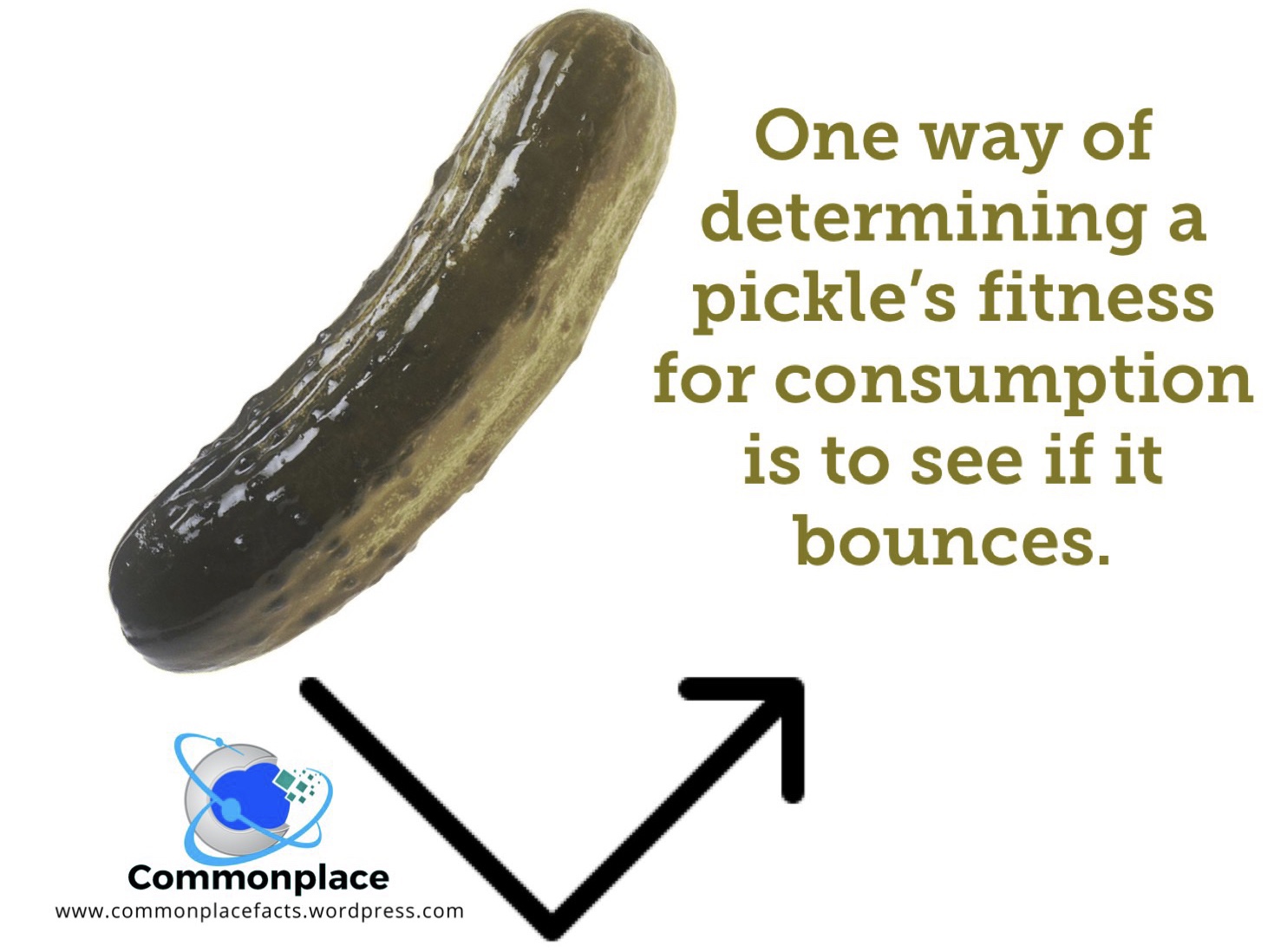 The Perplexing Problem of the Pickles that Wouldn’t Bounce ...
