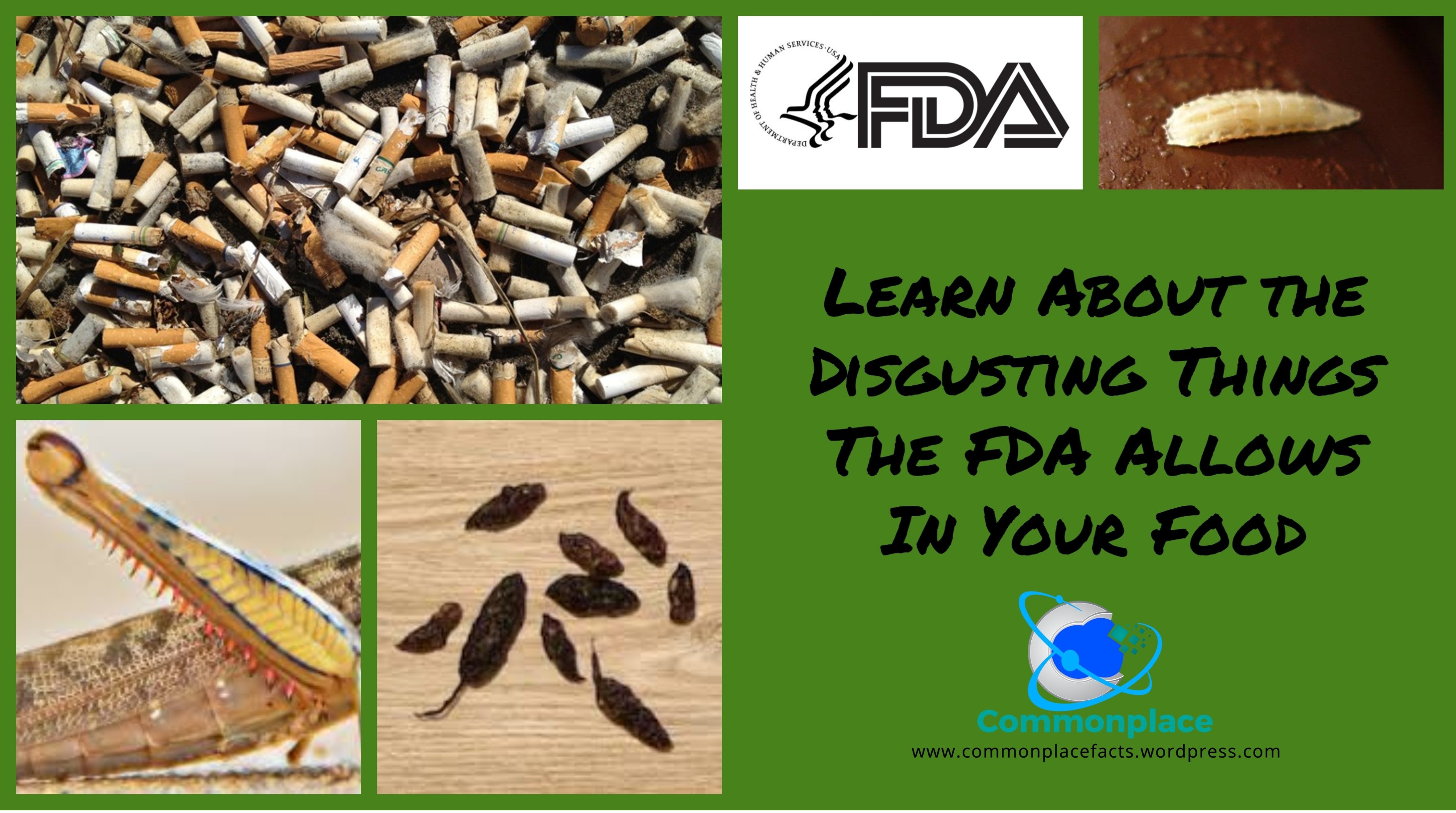 How Many Cigarette Butts and Rat Hairs Would you Like With Your Meal ...