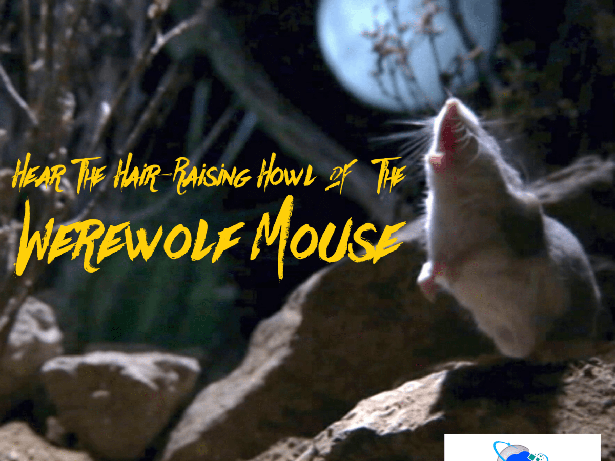 Reducing the Werewolf Population One Adoption at a Time – Commonplace ...