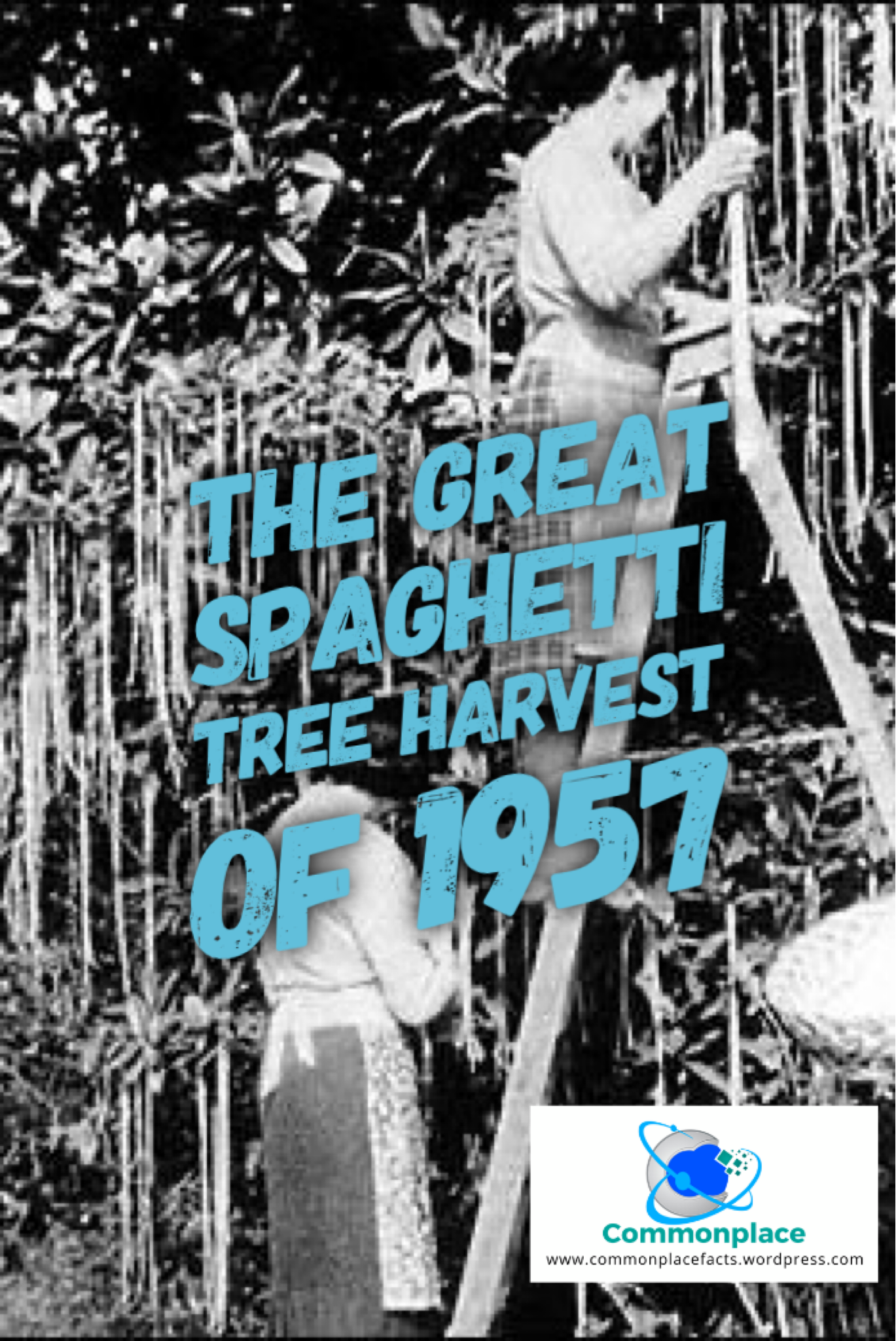 The Great Spaghetti Tree Hoax of 1957: When the BBC Left Viewers ...