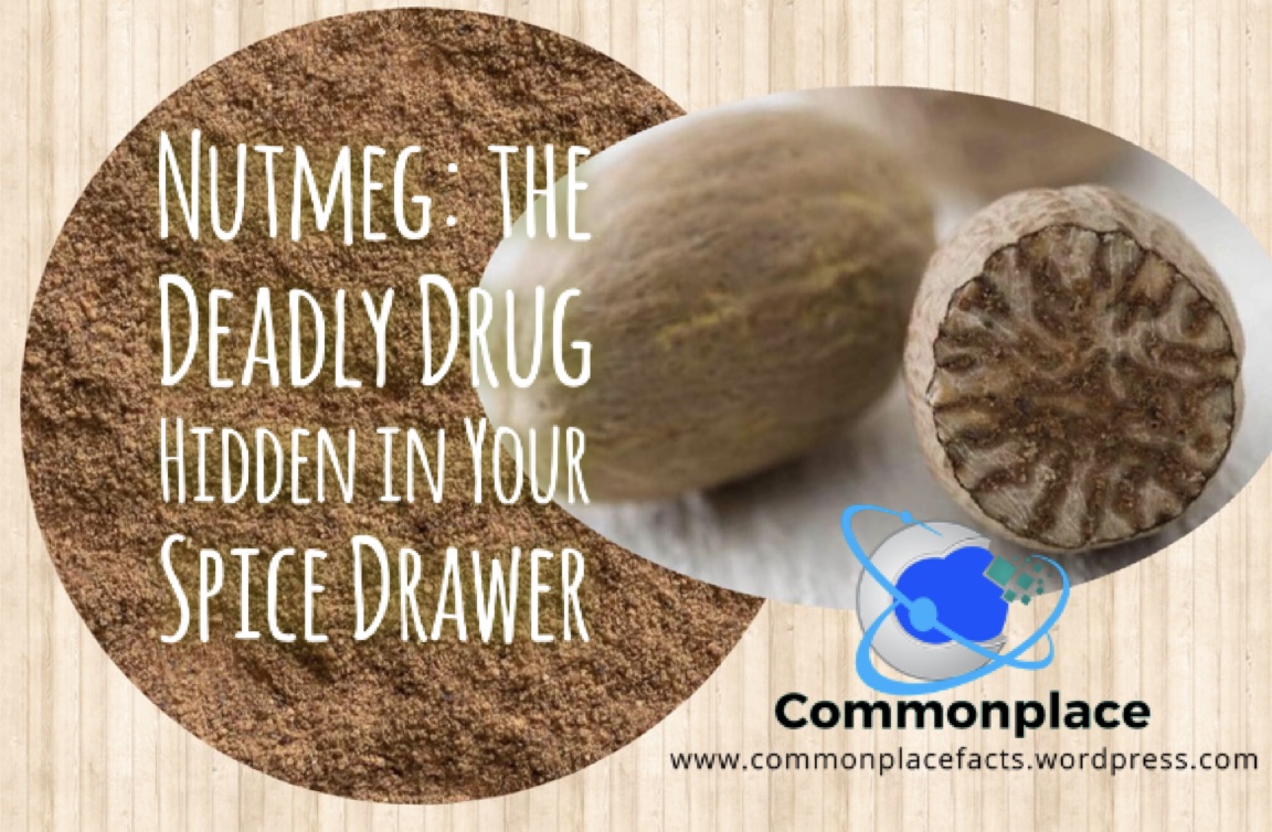 Nutmeg: the Deadly Drug Hidden in Your Spice Cabinet - Commonplace Fun ...
