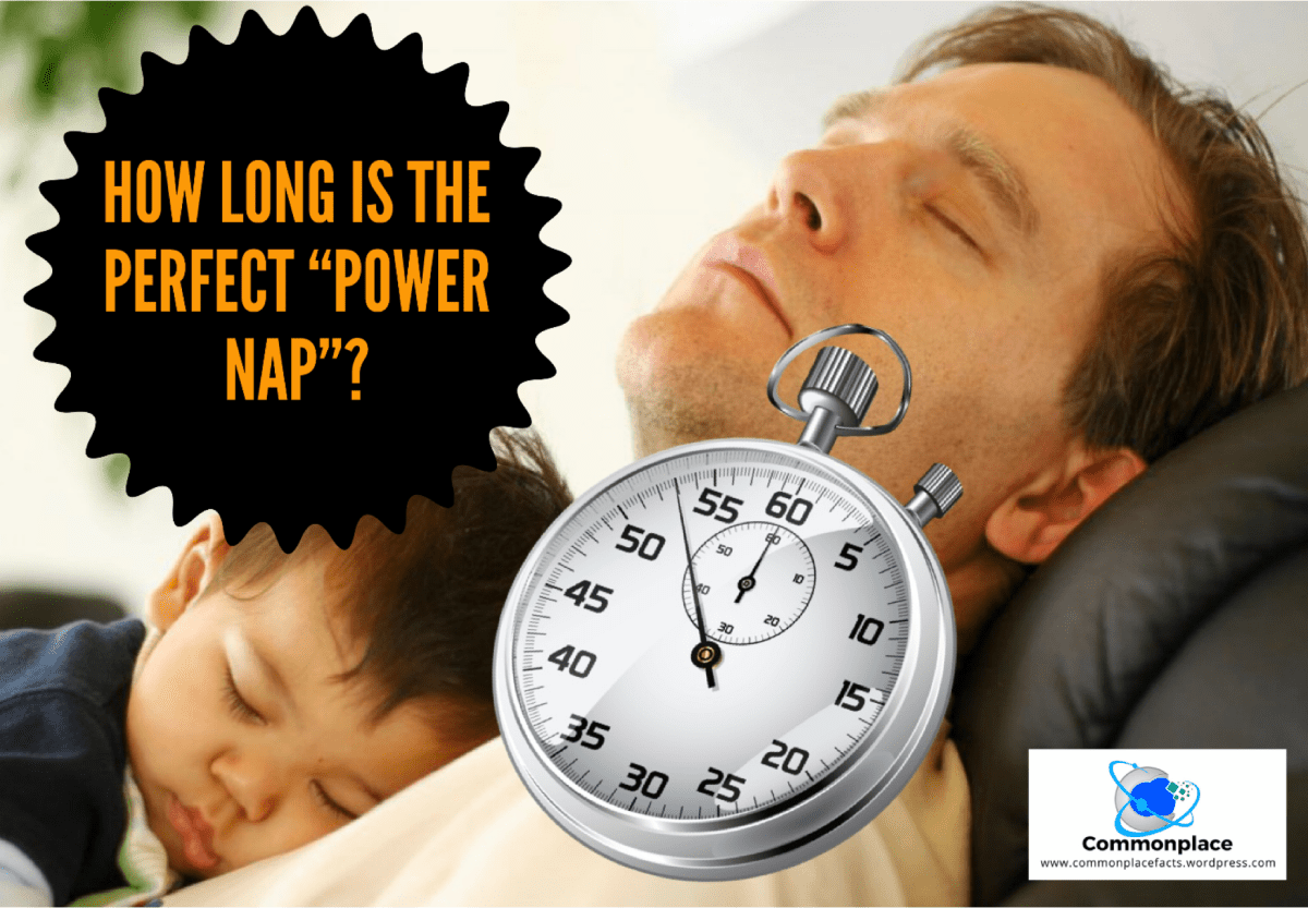 How Long is the Perfect “Power Nap”? – Commonplace Fun Facts