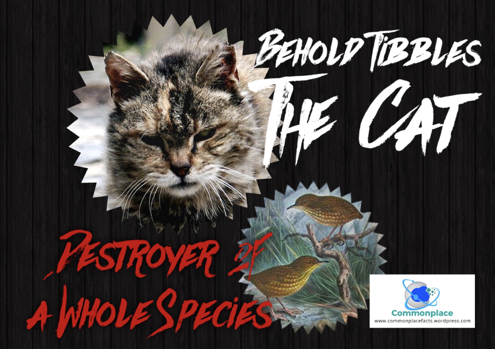 Behold Tibbles the Cat — Destroyer of a Whole Species - Commonplace Fun ...