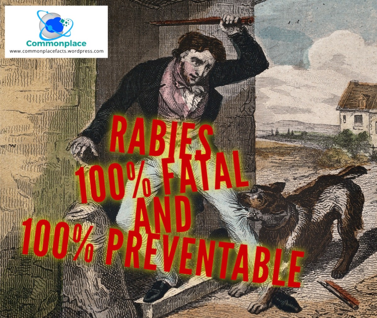 Rabies — 100% Fatal and 100% Preventable – Commonplace Fun Facts