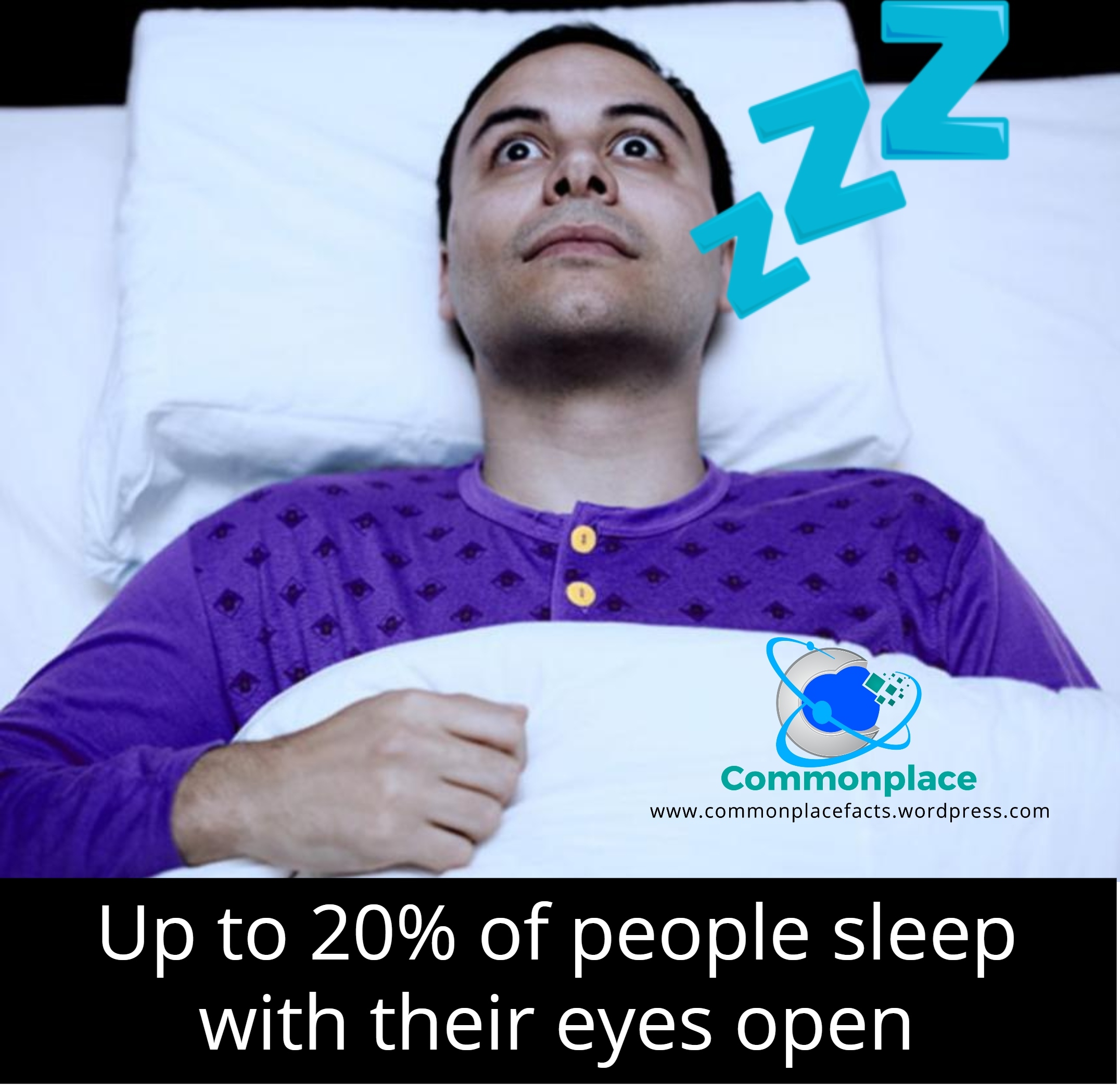 Sound Asleep With Eyes Wide Open - Commonplace Fun Facts