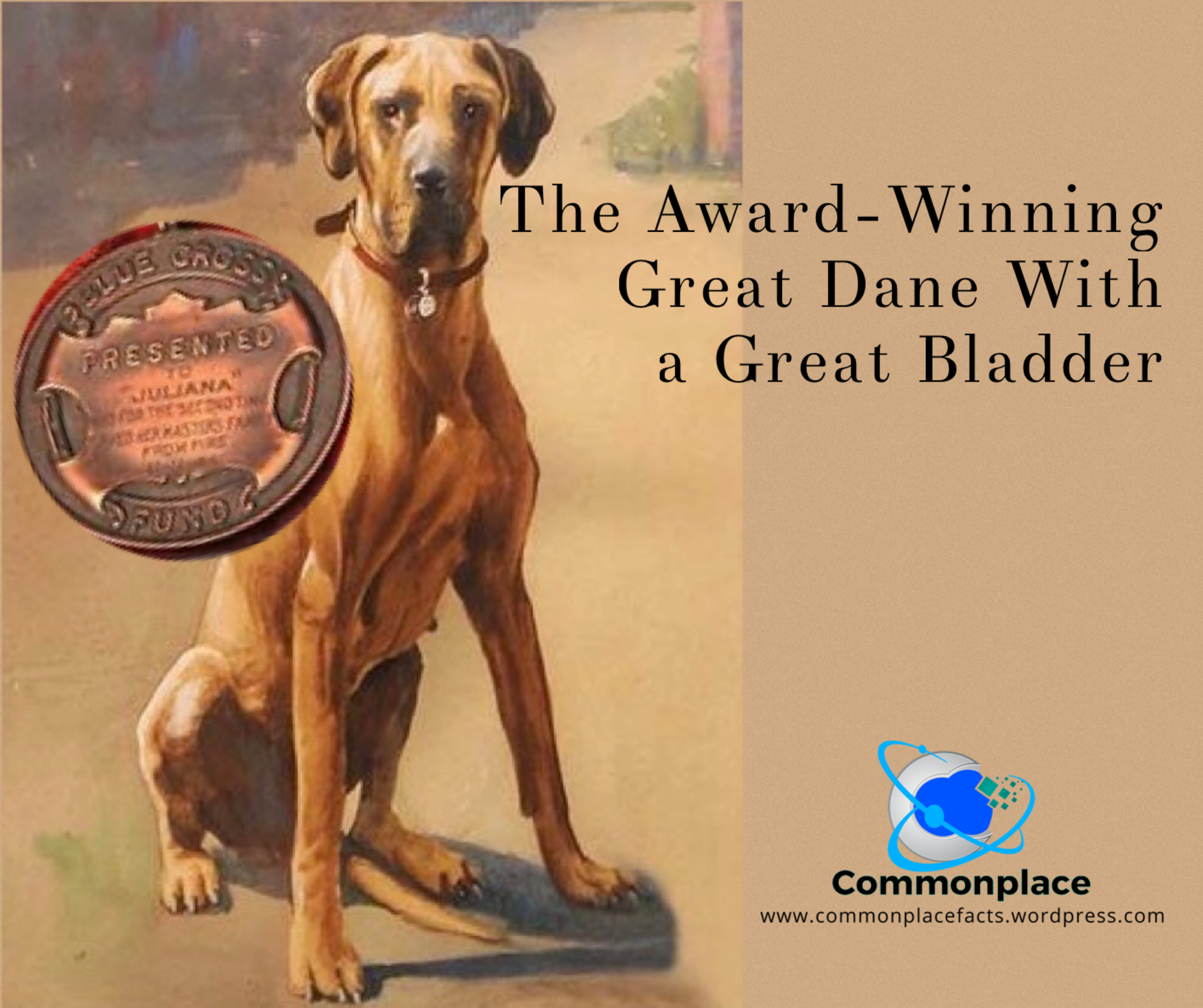 Juliana: the Heroic Great Dane With a Great Bladder - Commonplace Fun Facts