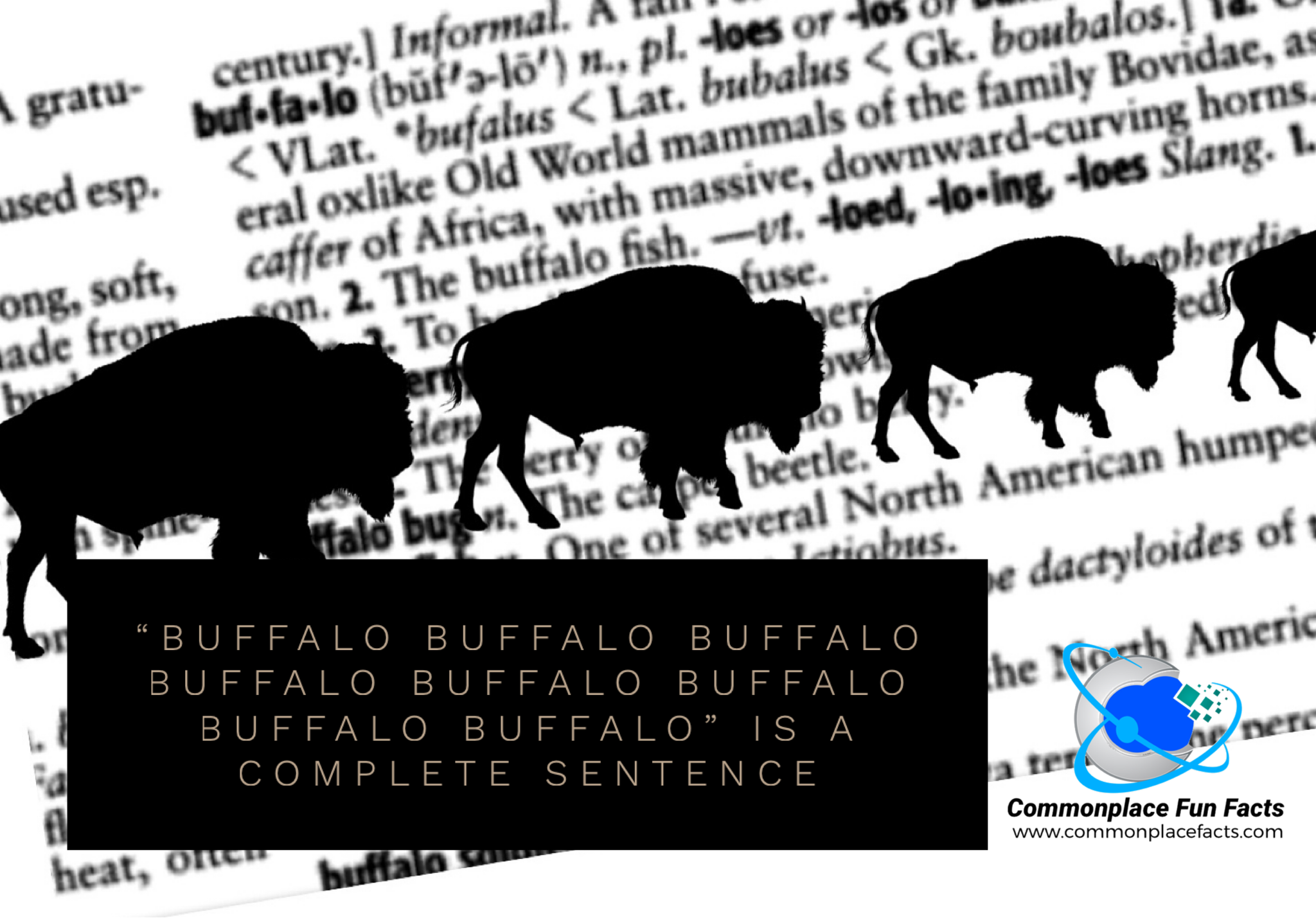 Buffalo Buffalo Buffalo Buffalo Buffalo Buffalo Buffalo Buffalo ...