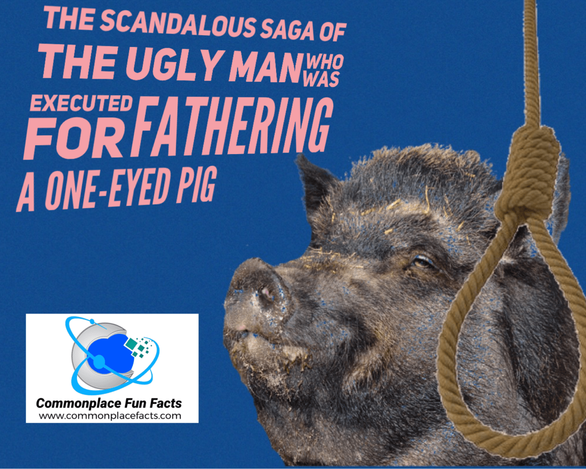 The Scandalous Saga of the Ugly Man Who Was Executed for Fathering a ...