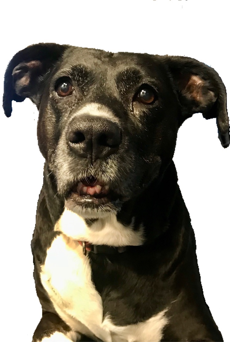 Ithkuil: the Most Complicated Language in the World – Commonplace Fun Facts