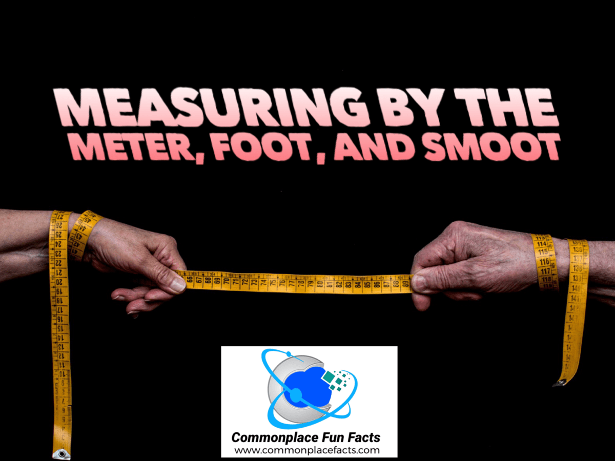 A Buttload is an Actual Unit of Measurement – Commonplace Fun Facts