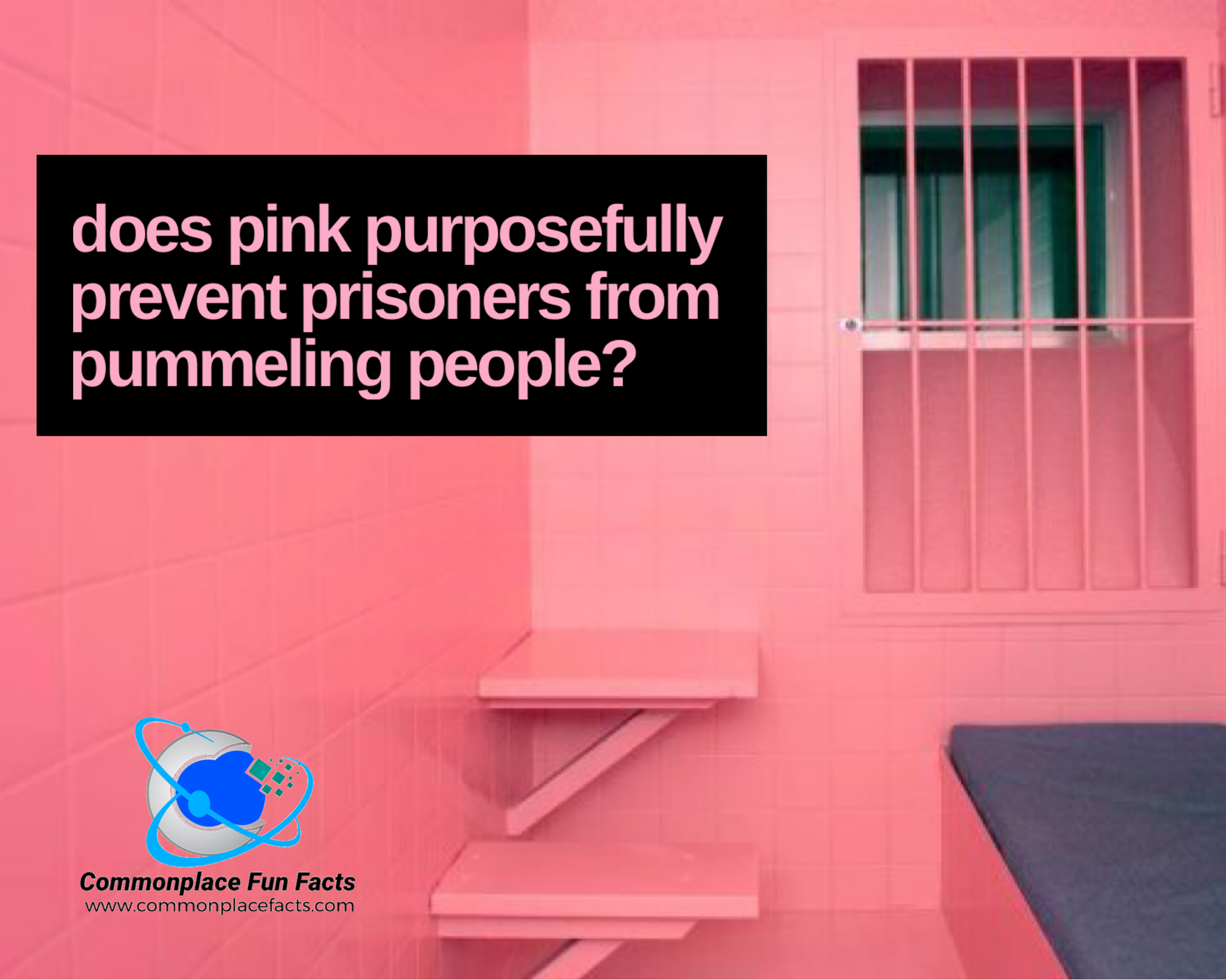 Does Pink Purposefully Prevent Prisoners From Pummeling People ...