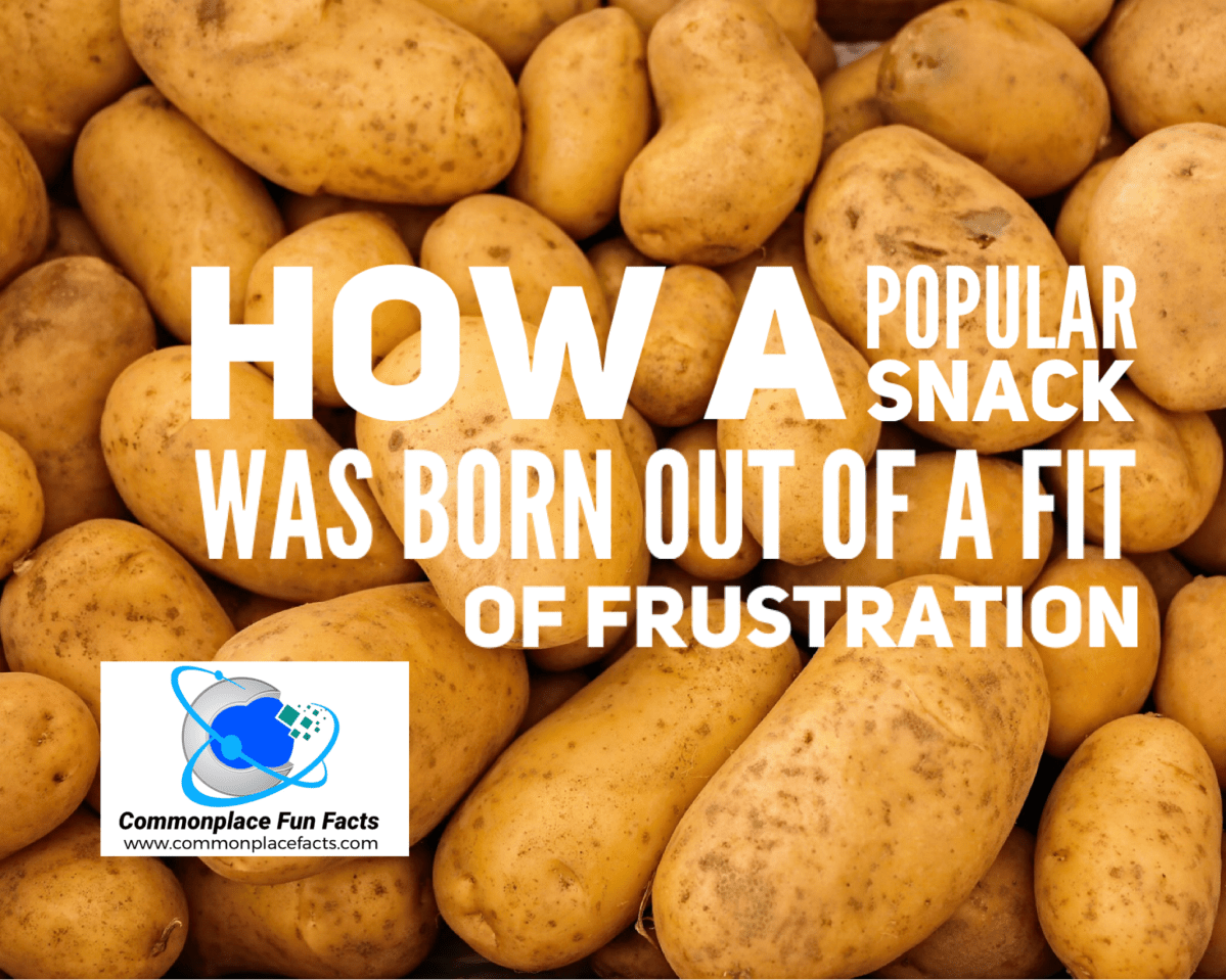 How a Popular Snack Was Born Out of a Fit of Frustration – Commonplace ...