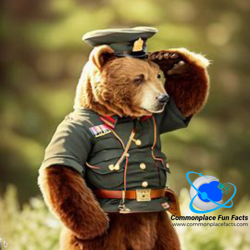 Wojtek the Soldier Bear of WWII – Commonplace Fun Facts