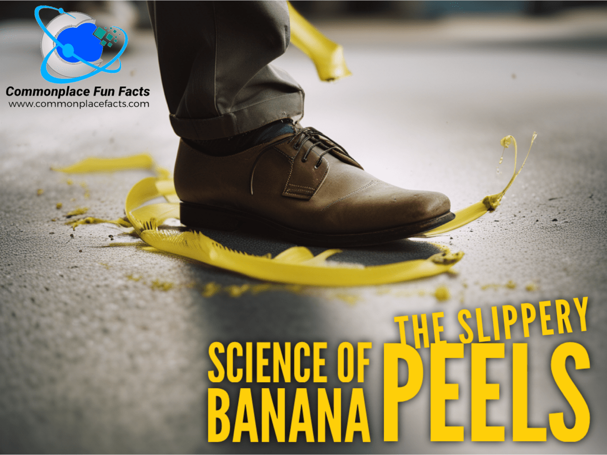 The Slippery Science of Banana Peels – Commonplace Fun Facts